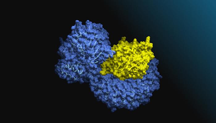 alphafold2-multimer Model by DeepMind | NVIDIA NIM