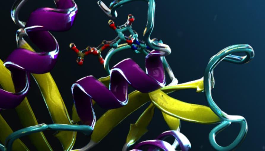 diffdock Model by MIT | NVIDIA NIM