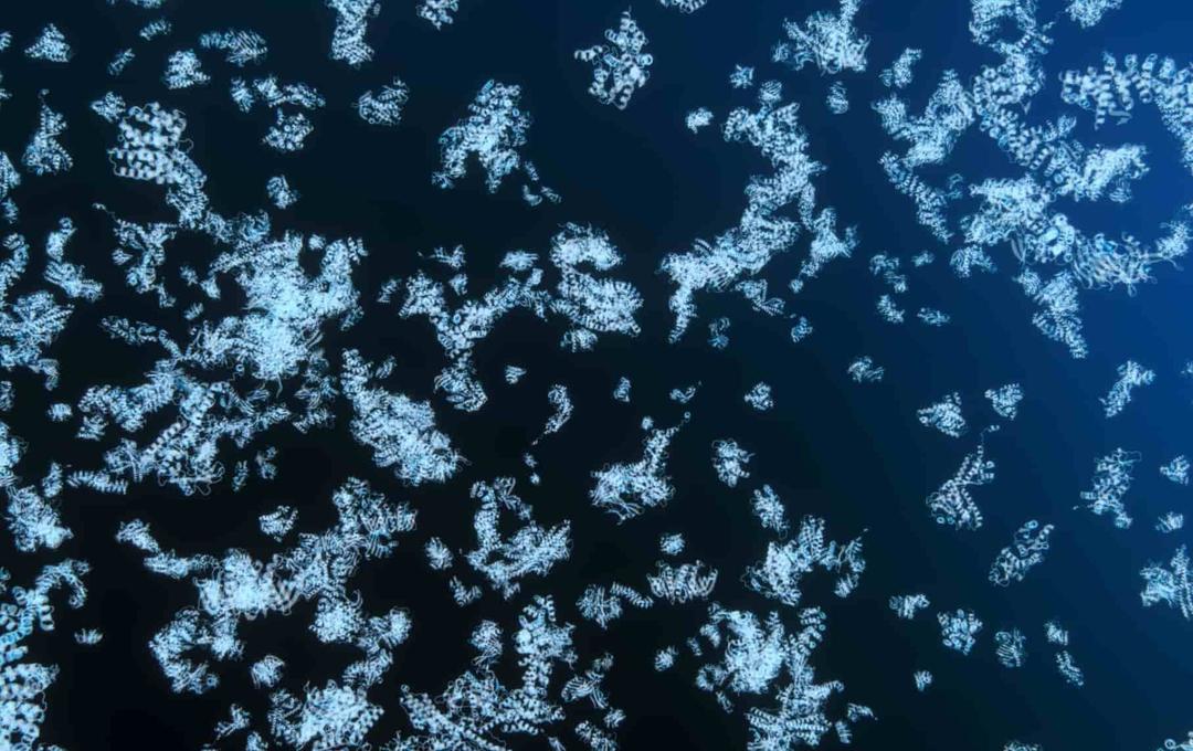 esm2-650m Model by Meta | NVIDIA NIM