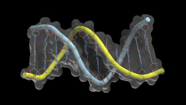 evo2-40b Model by Arc | NVIDIA NIM