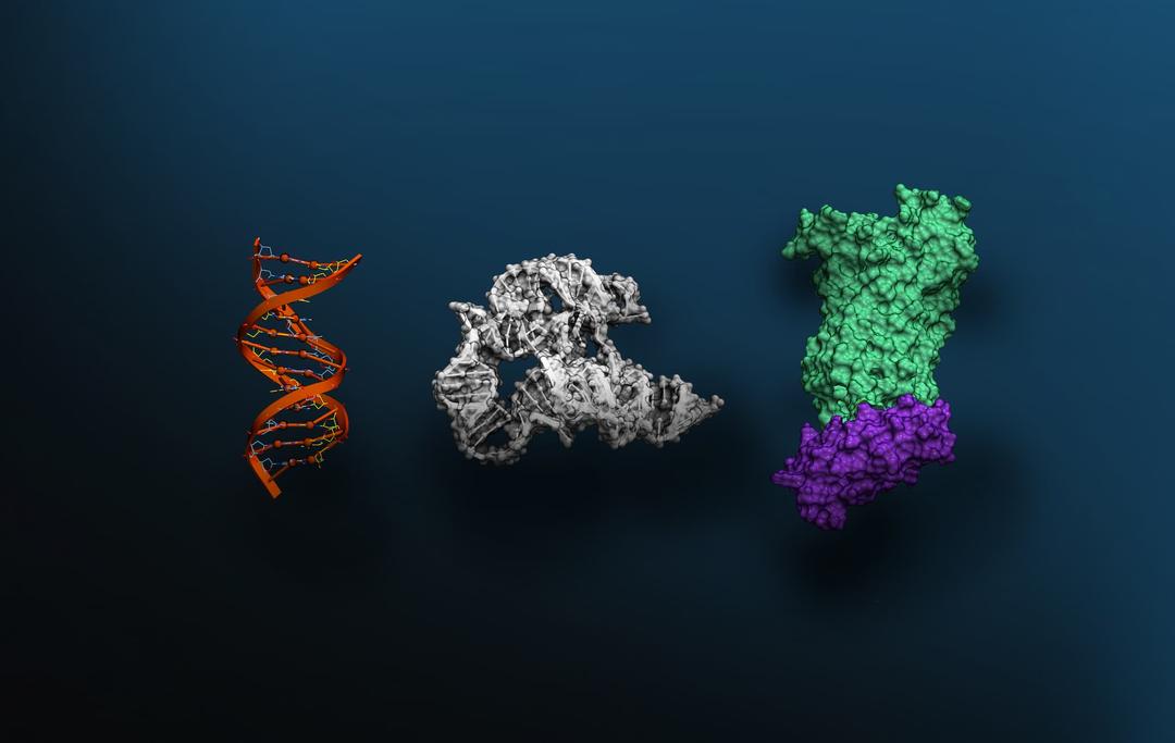 Evo 2 Protein Design Blueprint by NVIDIA | NVIDIA NIM