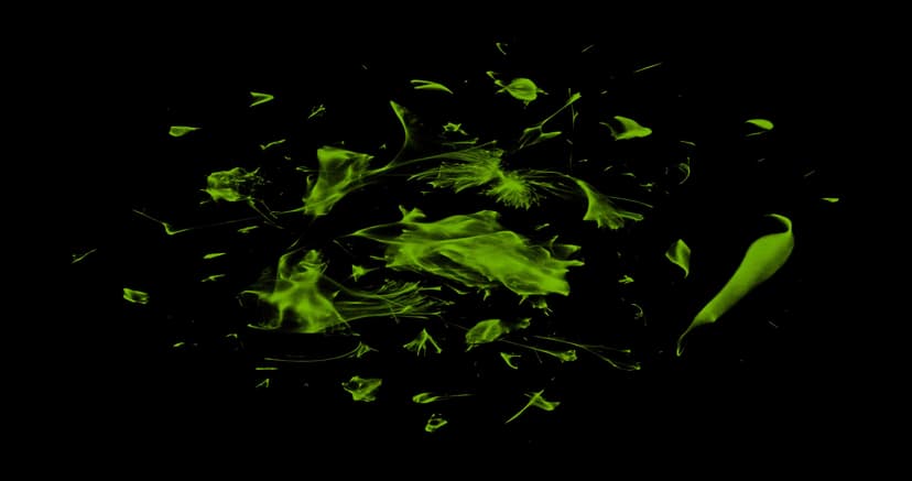 Single Cell Analysis Blueprint by NVIDIA | NVIDIA NIM