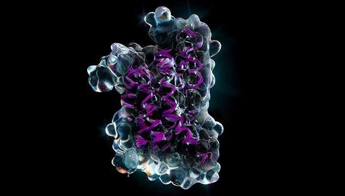 Explore Biology Models | Try NVIDIA NIM APIs