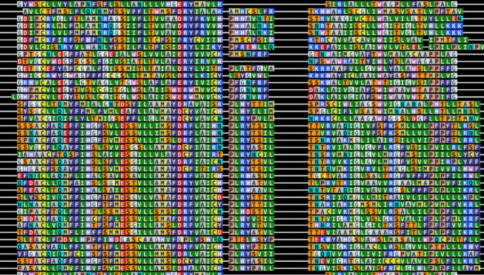 Build A Generative Virtual Screening Pipeline Blueprint by NVIDIA | NVIDIA NIM
